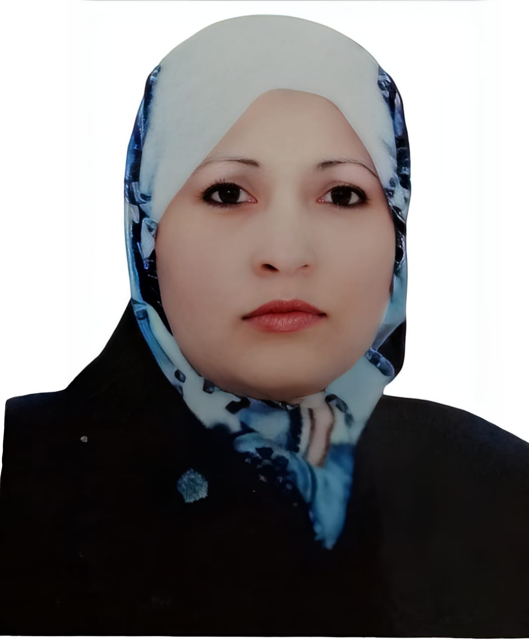 Sahira Ahmed mahmod CV- Northern Technical University